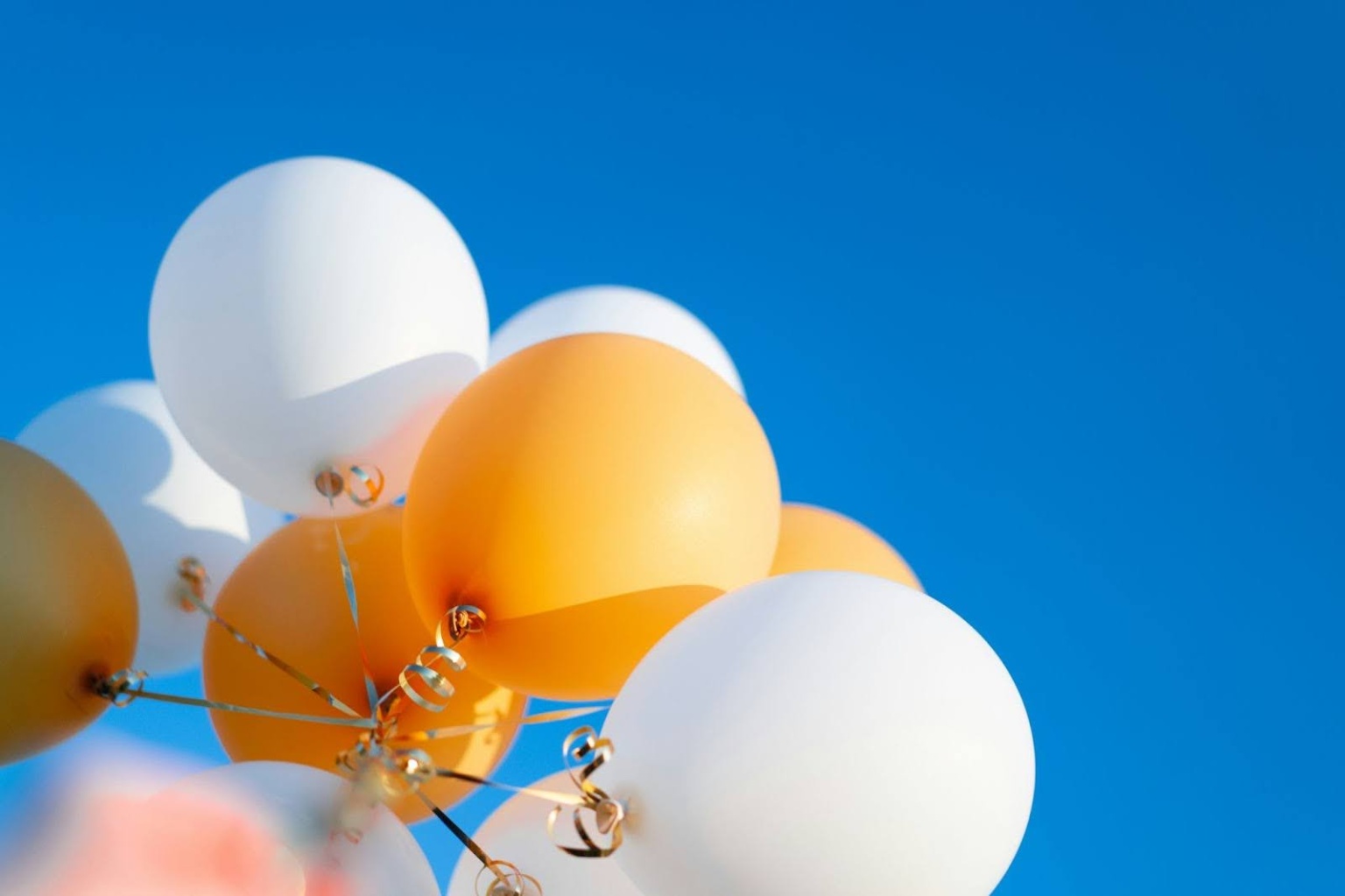 Why Do Helium Balloons Float And The Science Behind It | BearloonSG